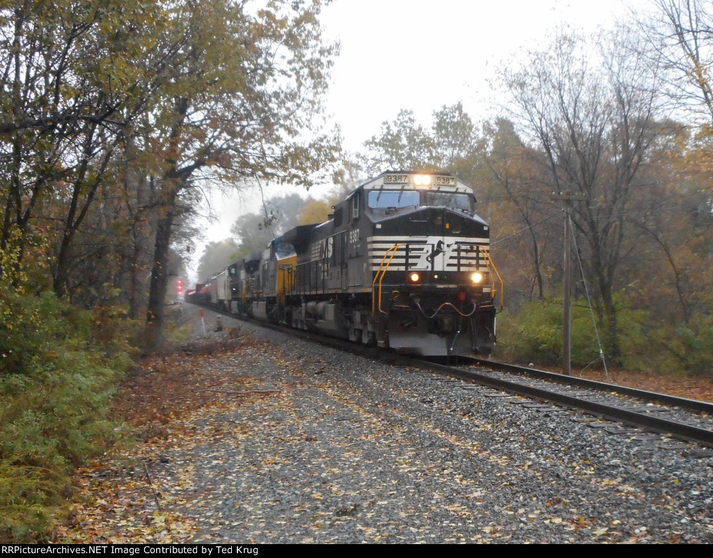NS 9387, PRLX 631 & NS 9508